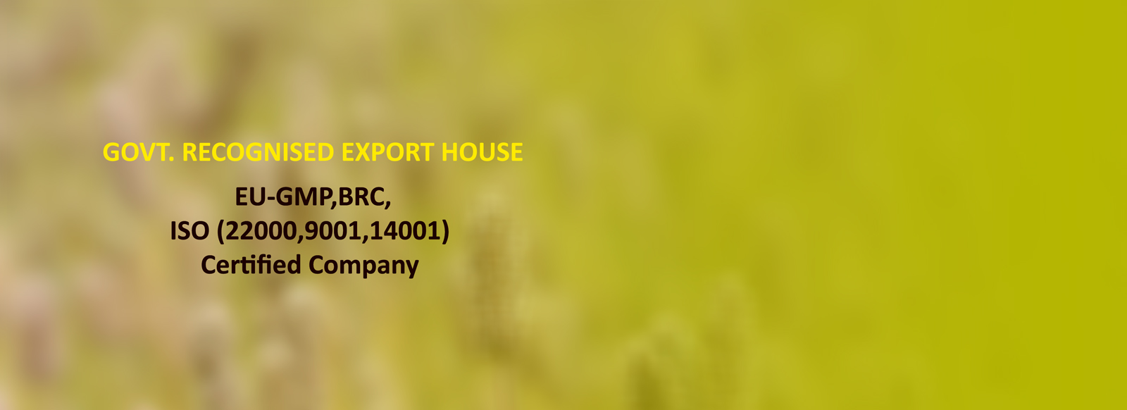 Home – RC Enterprise