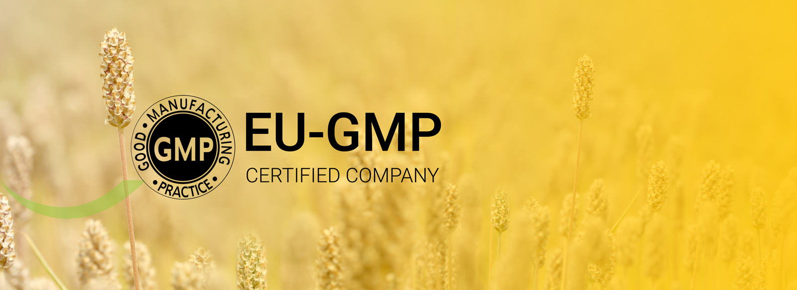 Home – RC Enterprise