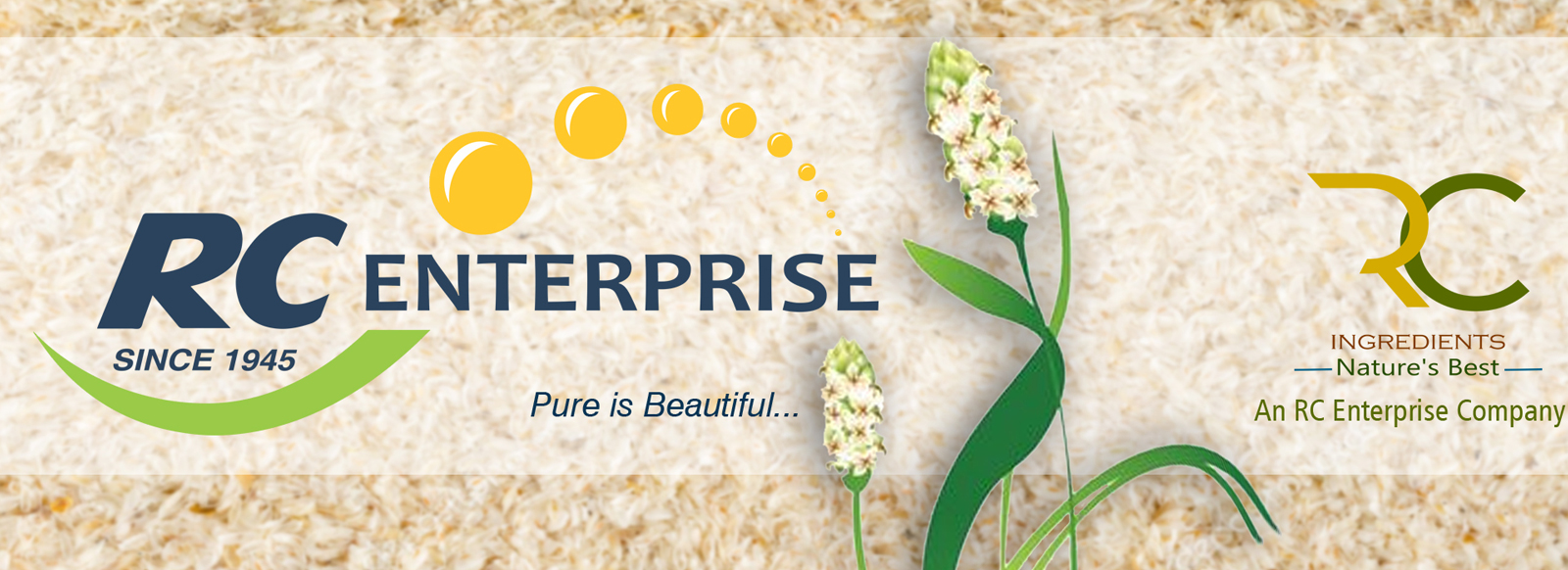 Home – RC Enterprise